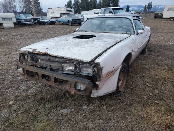 1979 trans am top project car. – Car Freak Classics
