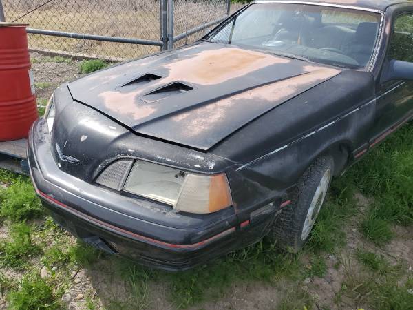 RARE 1987 Ford T-bird Turbo Coupe 5spd project – Car Freak Classics